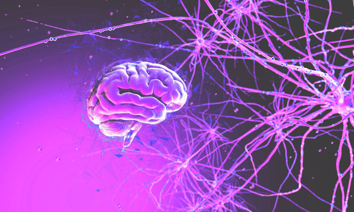 Best NAD+ Supplements: 2020 Review